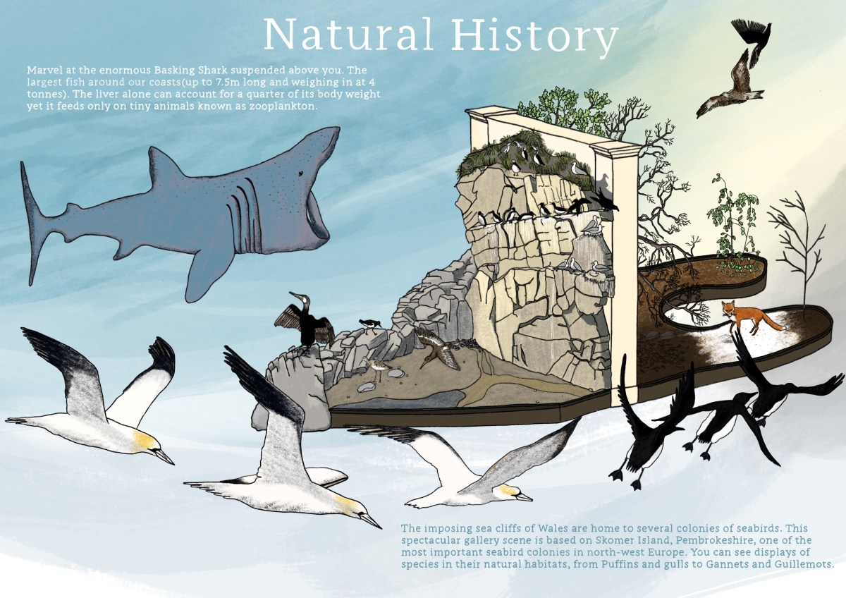 Natural History